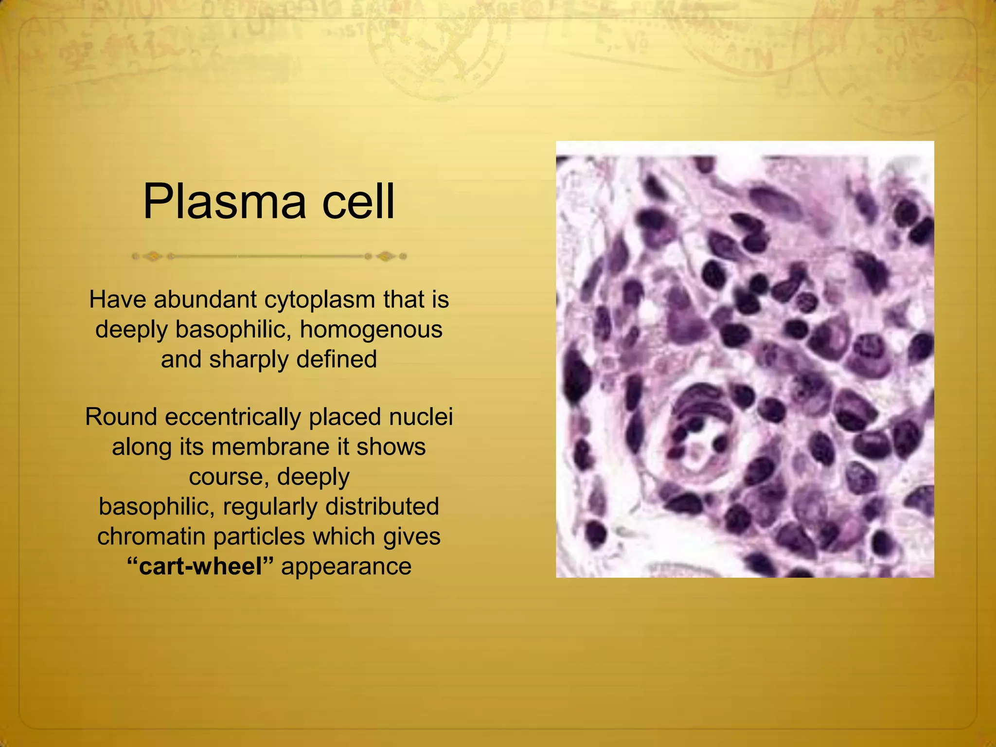 An approach to microscopic interpretation | PPT