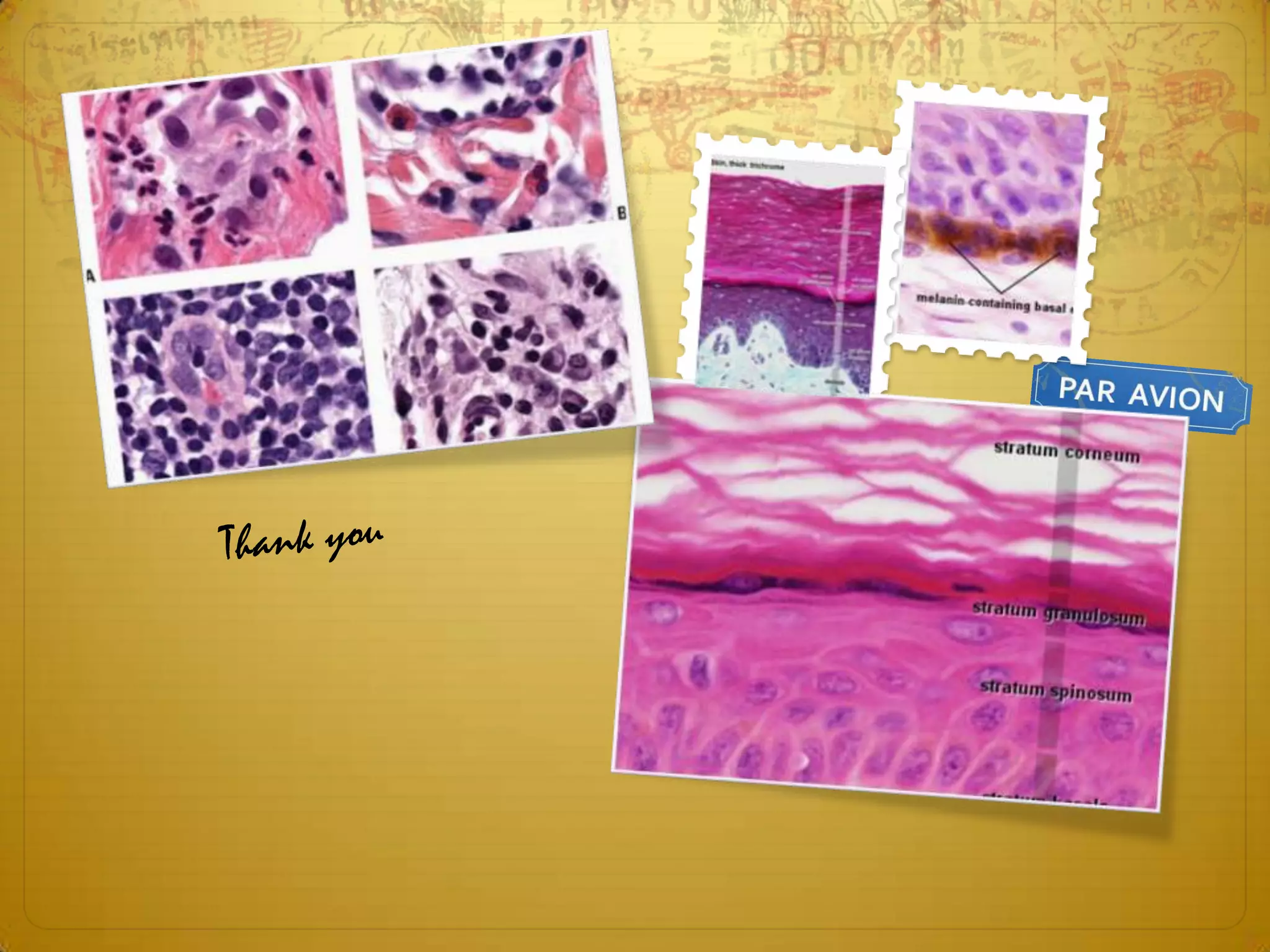 An approach to microscopic interpretation | PPT