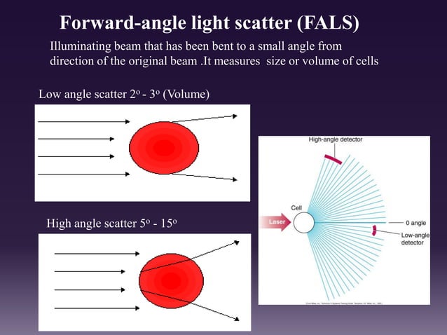 ABC of automated CBC | PDF | Blood Disorders | Diseases and Conditions