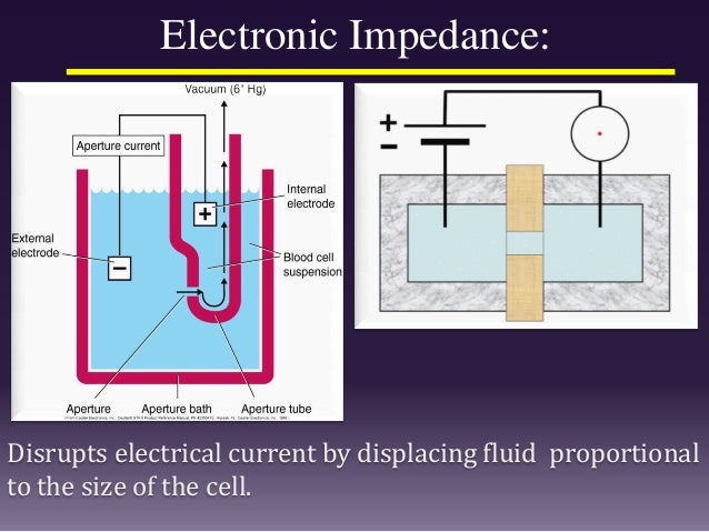 ABC of automated CBC