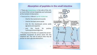 Secretion and absorption of small intestine.pptx