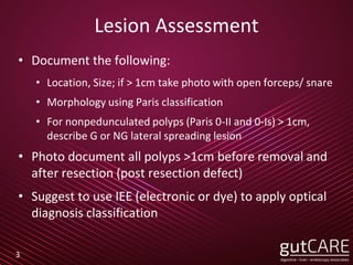 Endoscopic Removal of Colorectal Lesions | PPT