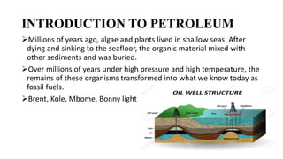 Introduction to chemical process industry.pptx
