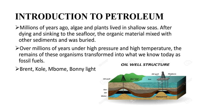 Introduction to chemical process industry.pptx