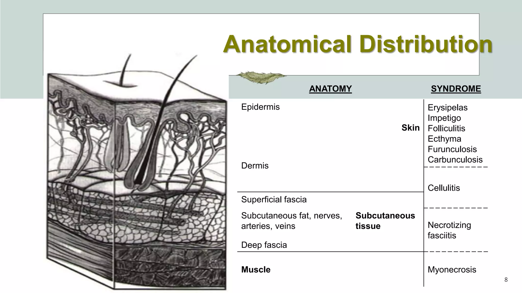 Skin and Soft Tissue Infection.pptx