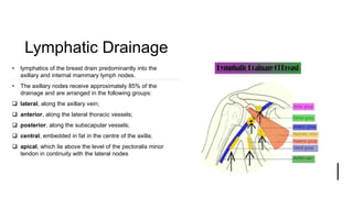 CME Breast | PPTX