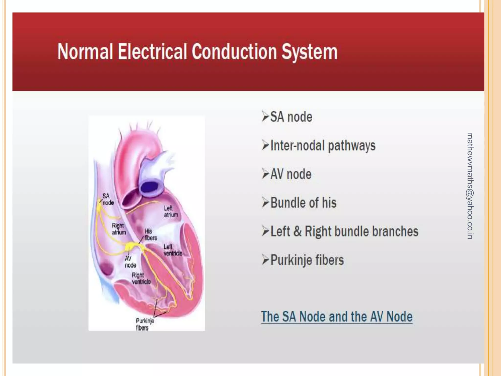 Cardiac monitoring & ECG | PPTX