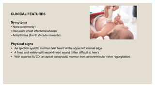 Comprehensive Overview of Common Congenital Heart Diseases in Children ...