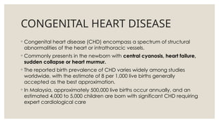 Comprehensive Overview of Common Congenital Heart Diseases in Children ...