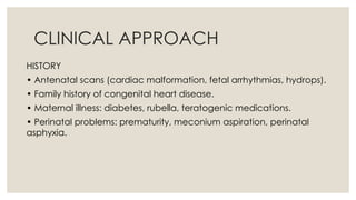 Comprehensive Overview of Common Congenital Heart Diseases in Children ...