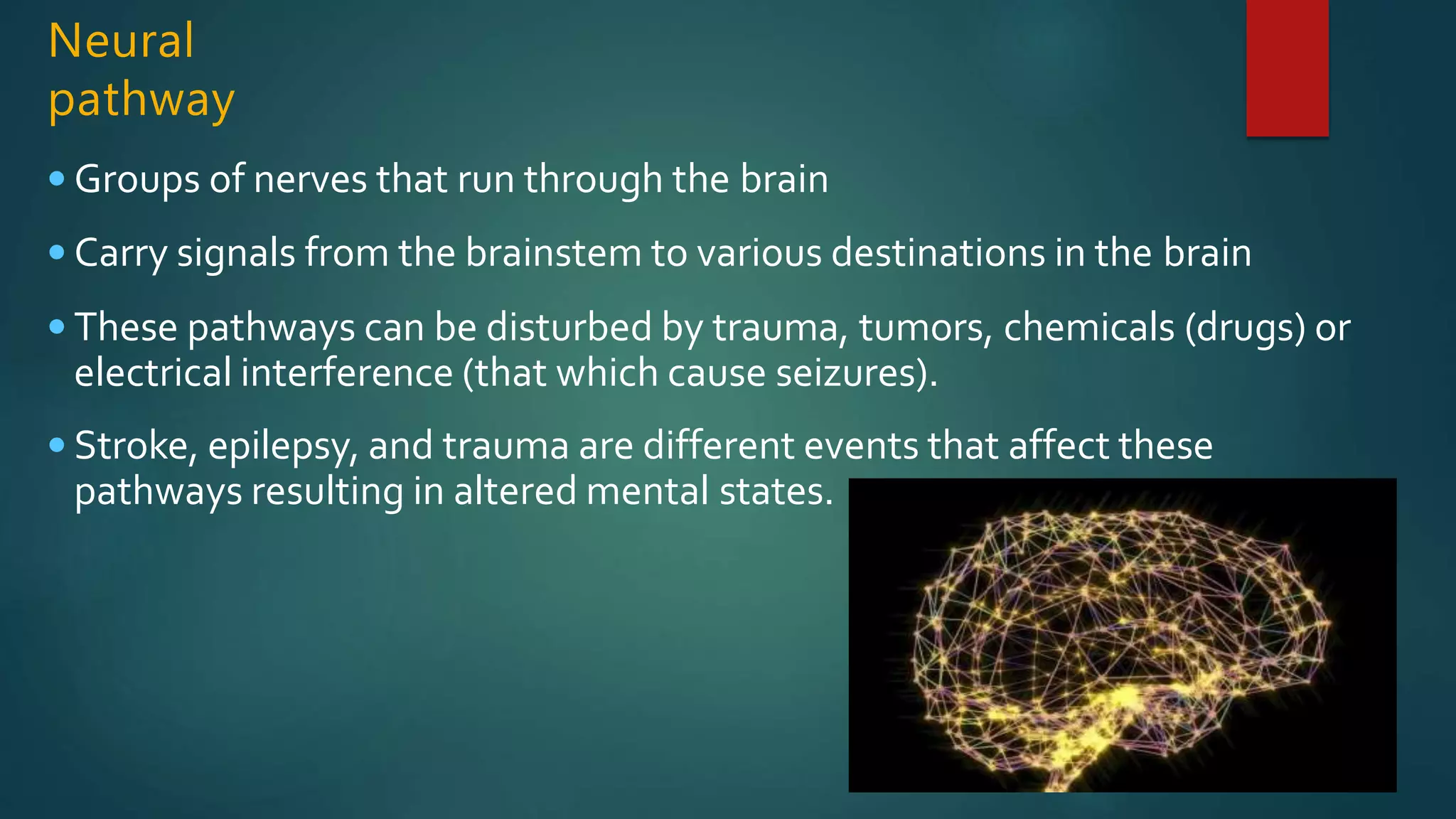 CME ED APPROACH TO ALTERED MENTAL STATUS AND SEIZURES.pptx