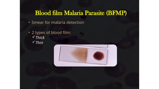 blood film malaria parasite collection, transportation & slide ...