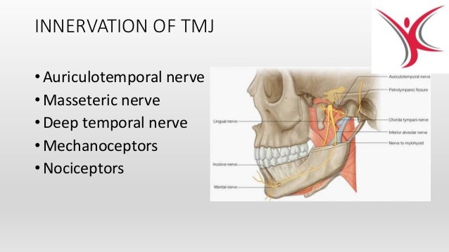 TMJ overview