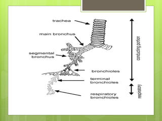 CM emphysema .pptx