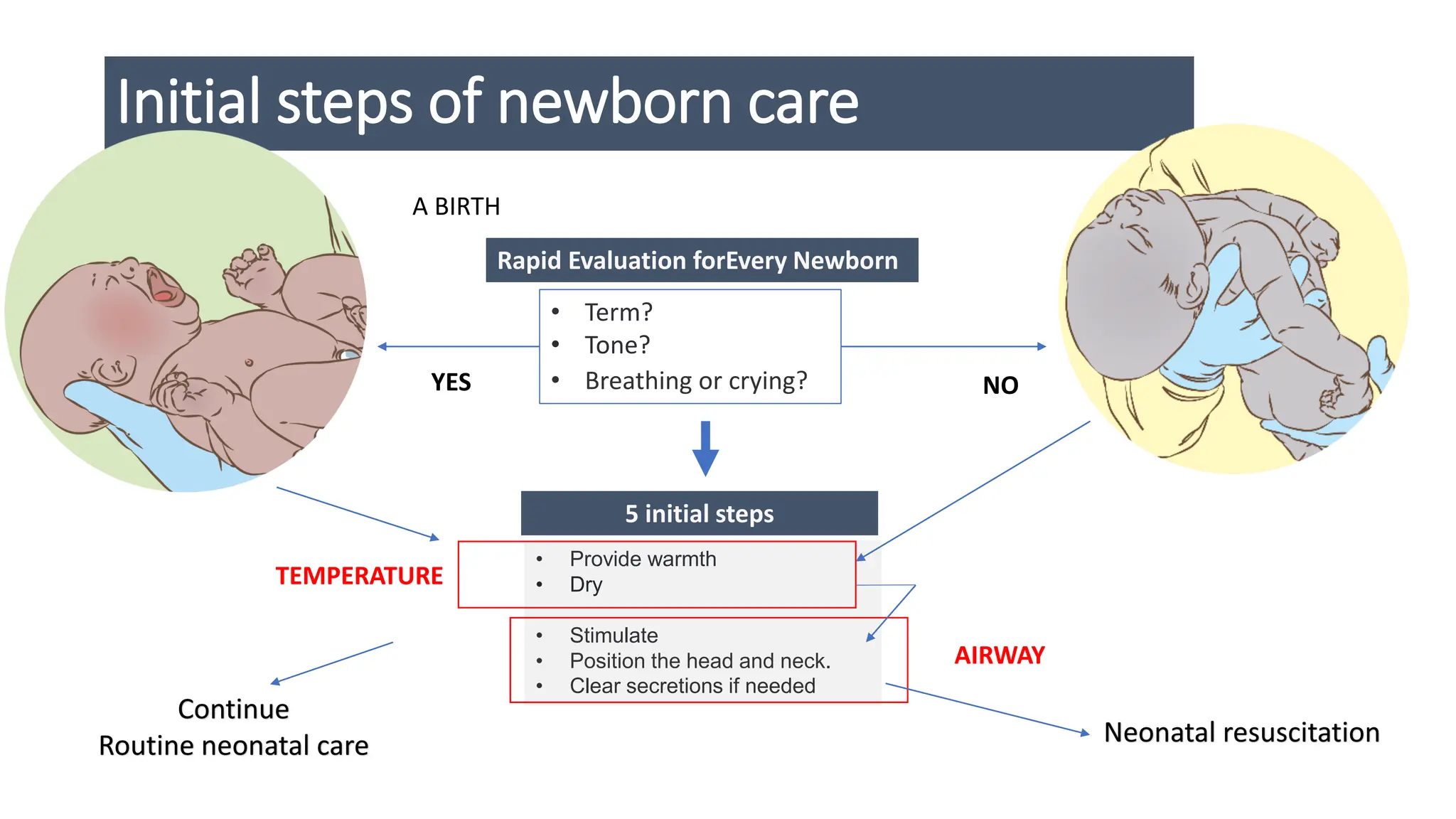 Neonatal Resuscitation by Dr Gabriel 2023 | PDF