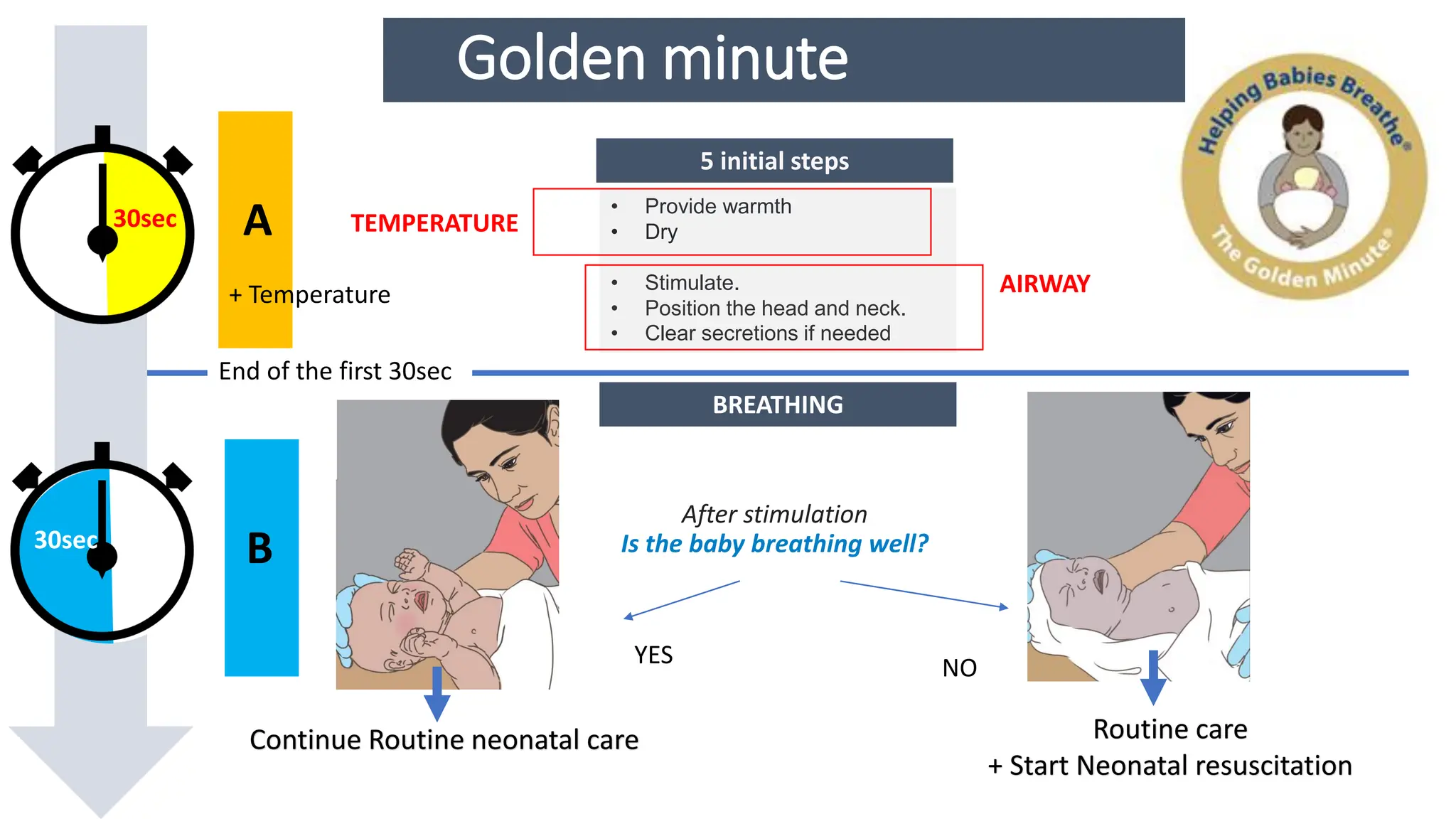 Neonatal Resuscitation by Dr Gabriel 2023 | PDF