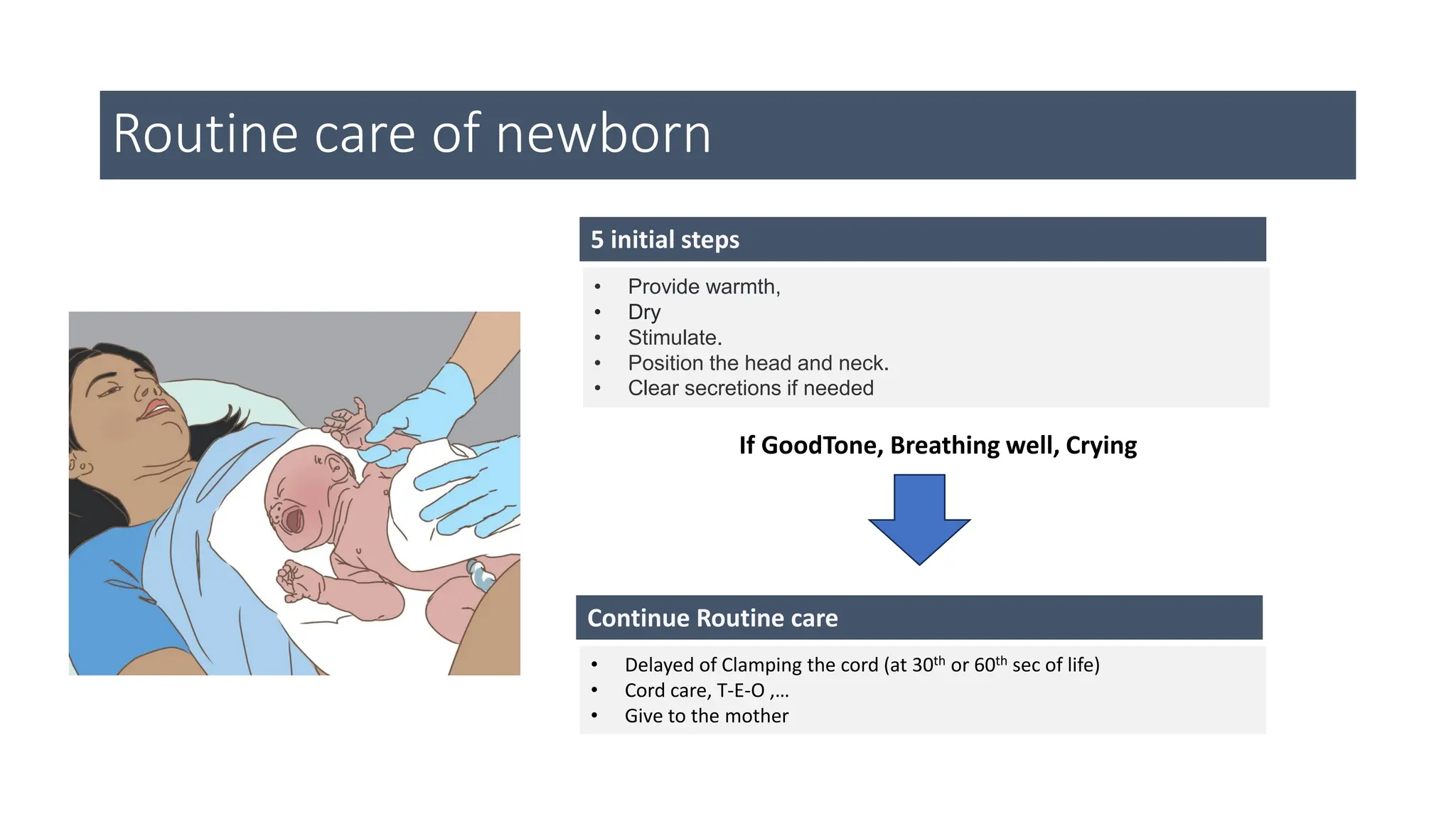 Neonatal Resuscitation by Dr Gabriel 2023 | PDF