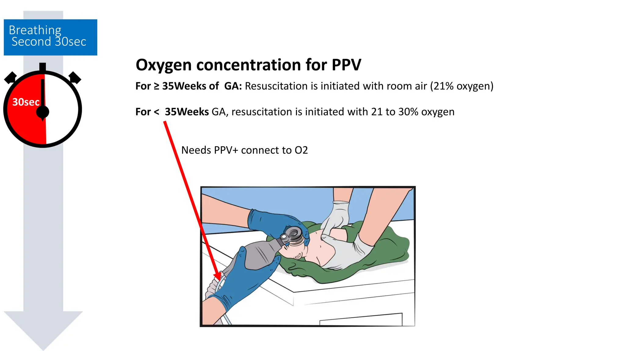 Neonatal Resuscitation by Dr Gabriel 2023 | PDF