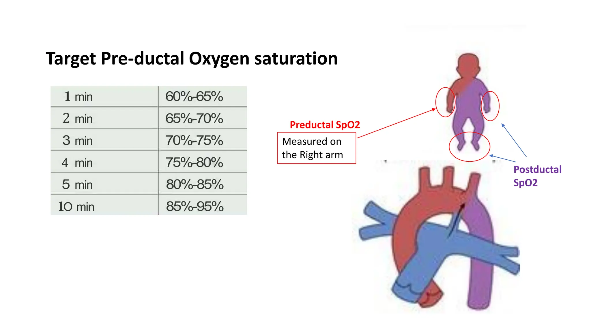Neonatal Resuscitation by Dr Gabriel 2023 | PDF