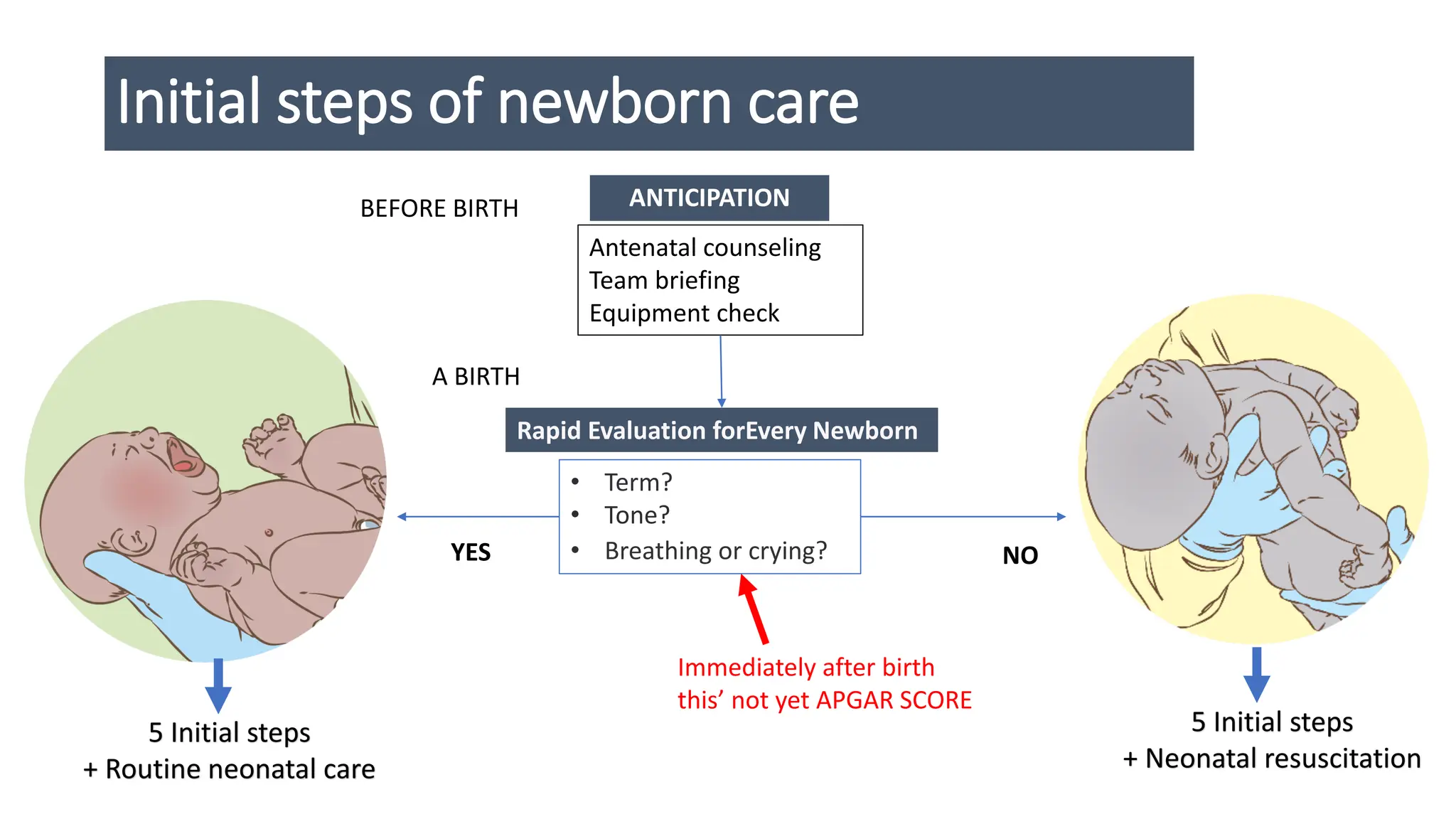 Neonatal Resuscitation by Dr Gabriel 2023 | PDF