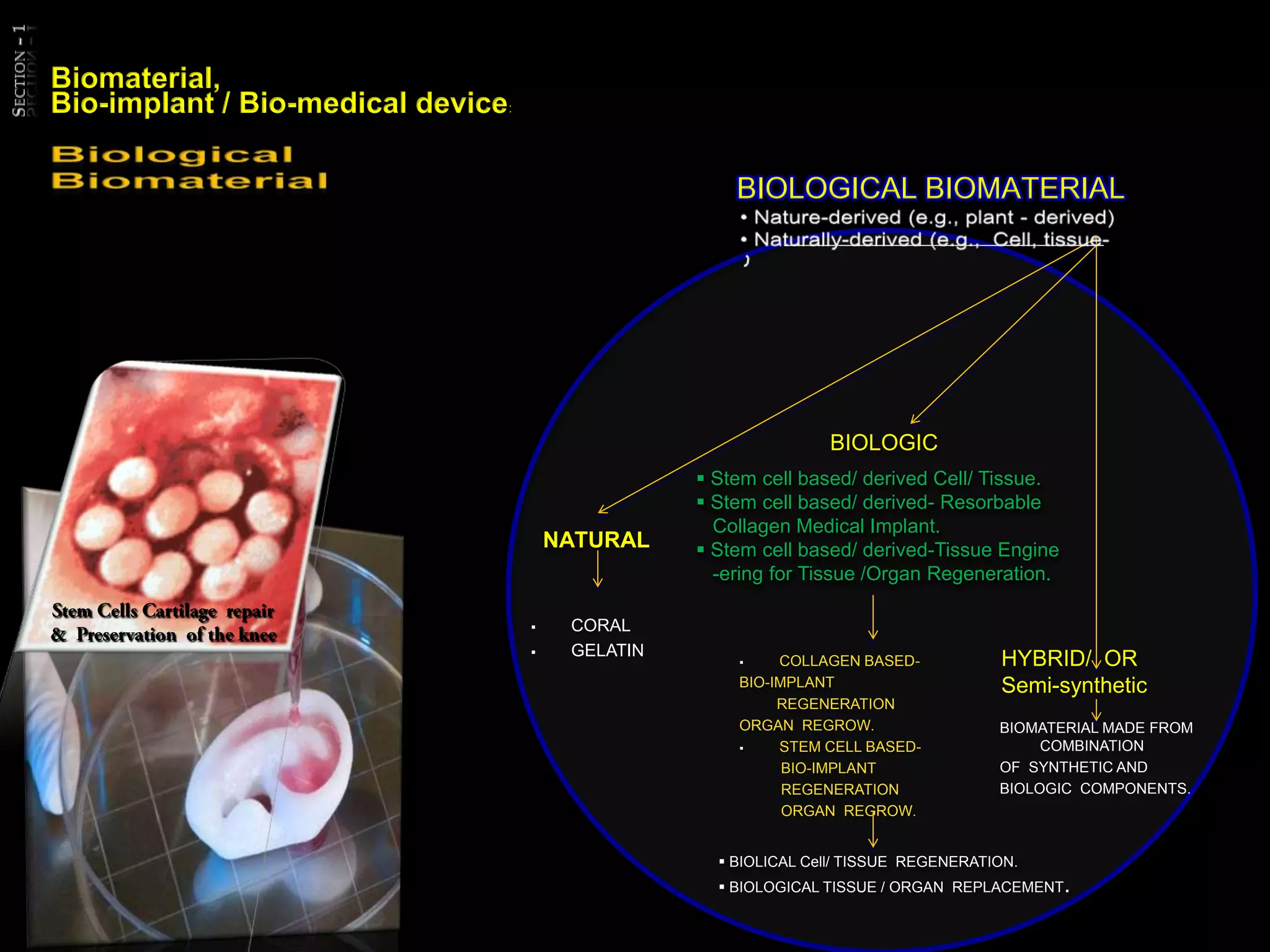 Basics of- HUMAN BIOMATERIALS, IMPLANTABLE MEDICAL DEVICES AND ...
