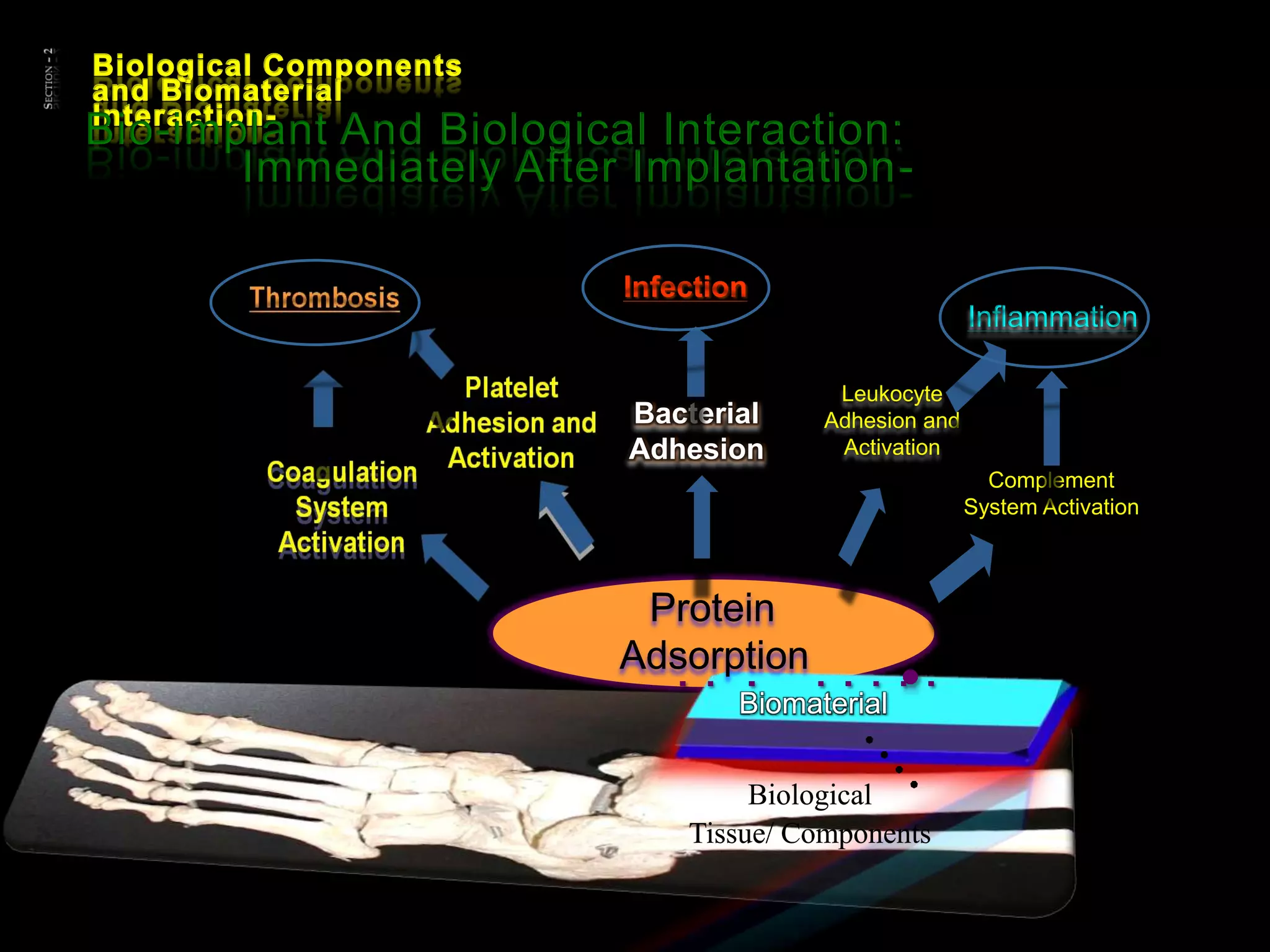 Basics of- HUMAN BIOMATERIALS, IMPLANTABLE MEDICAL DEVICES AND ...