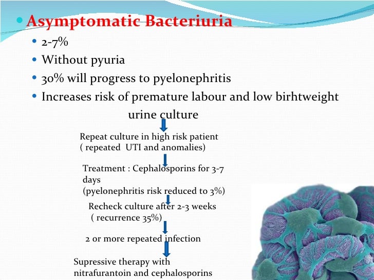 Pregnancy and Renal Disease