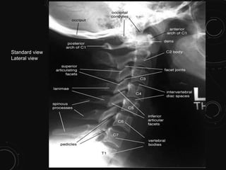 CME Orthopedic.pptx