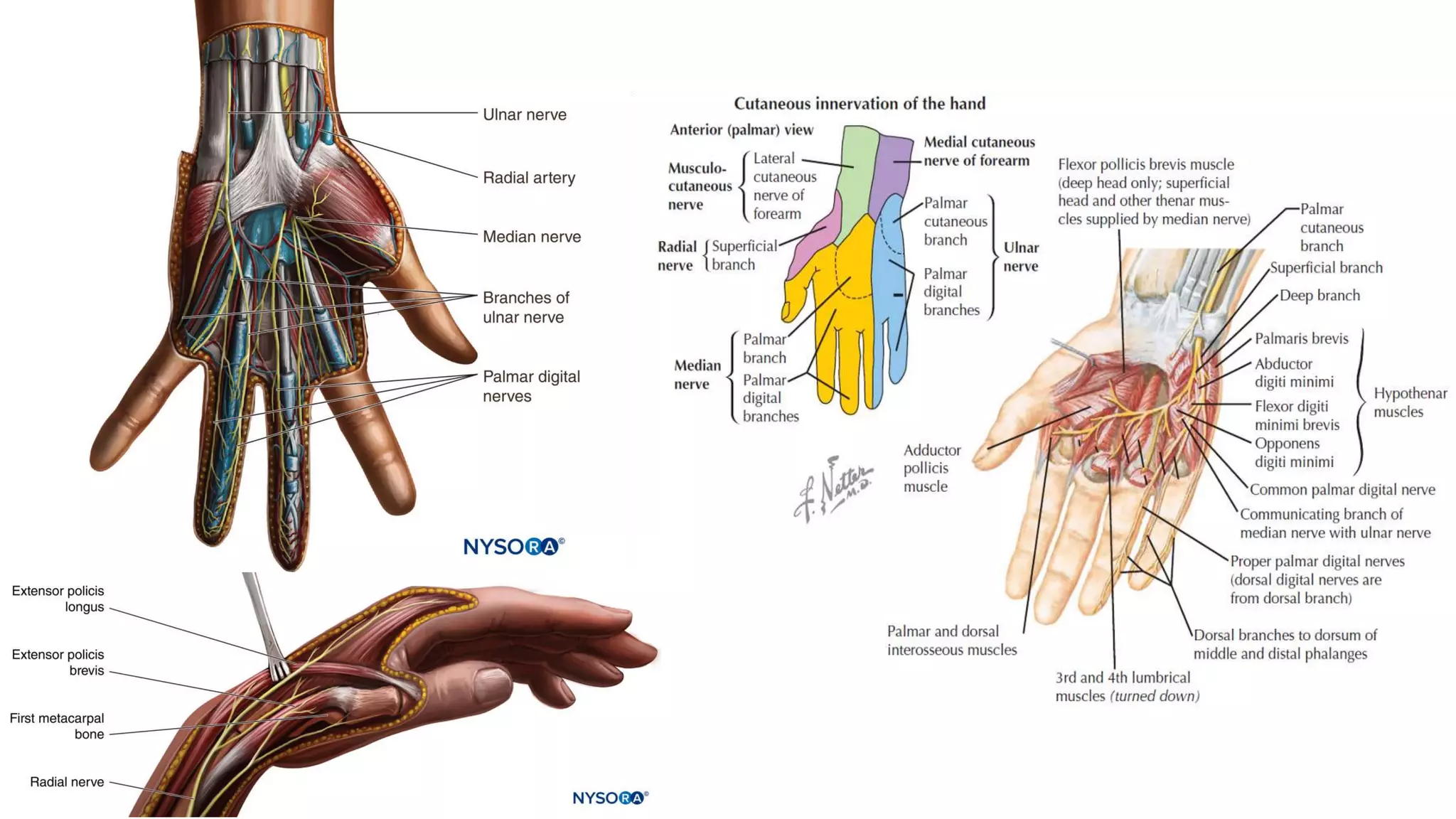 CME PERIPHERAL BLOCK.pptx