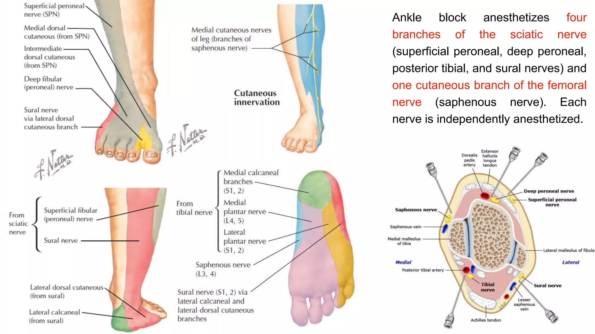 CME PERIPHERAL BLOCK.pptx