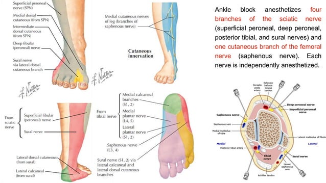 CME PERIPHERAL BLOCK.pptx
