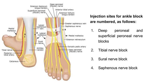 CME PERIPHERAL BLOCK.pptx