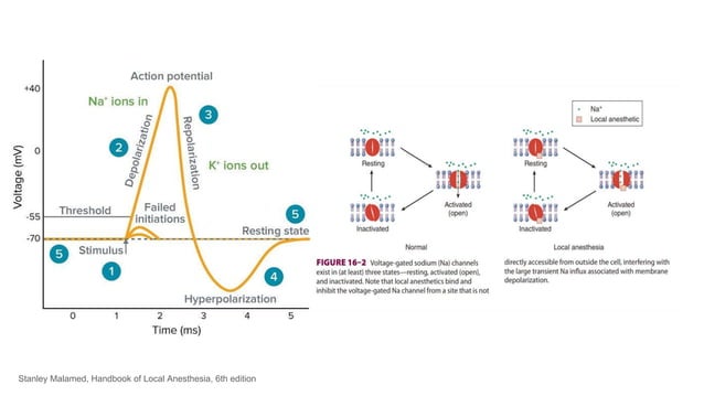CME PERIPHERAL BLOCK.pptx