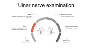 Peripheral nerve examination of upper limb.pptx