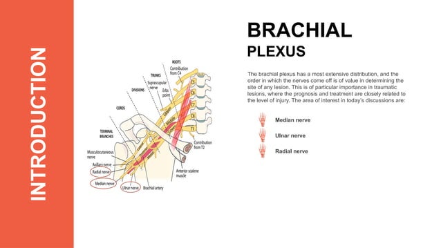 Peripheral nerve examination of upper limb.pptx