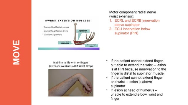 Peripheral nerve examination of upper limb.pptx