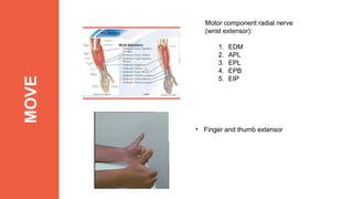 Peripheral nerve examination of upper limb.pptx