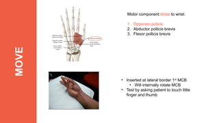 Peripheral nerve examination of upper limb.pptx
