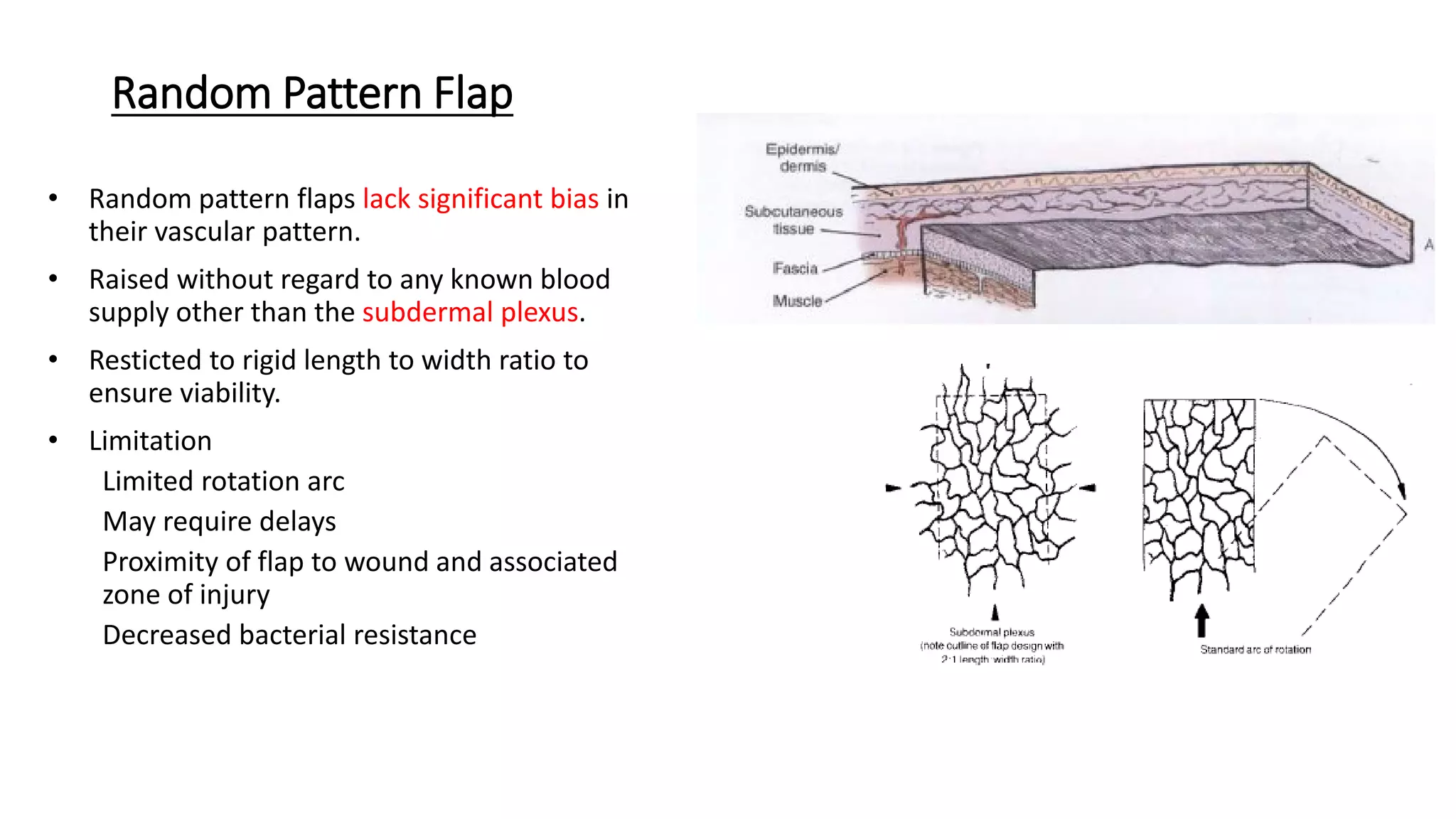 Basic Principles of Flap | PDF