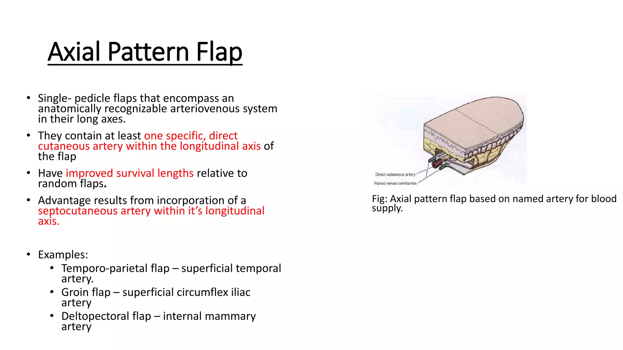 Basic Principles of Flap | PDF | Cosmetic Medical Services | Medical Health
