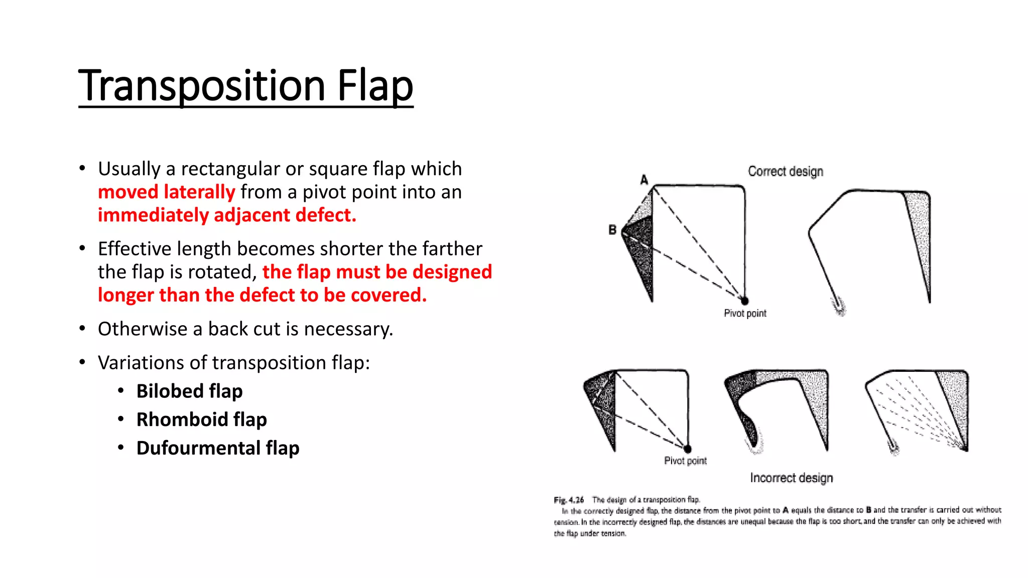 Basic Principles of Flap | PDF | Cosmetic Medical Services | Medical Health