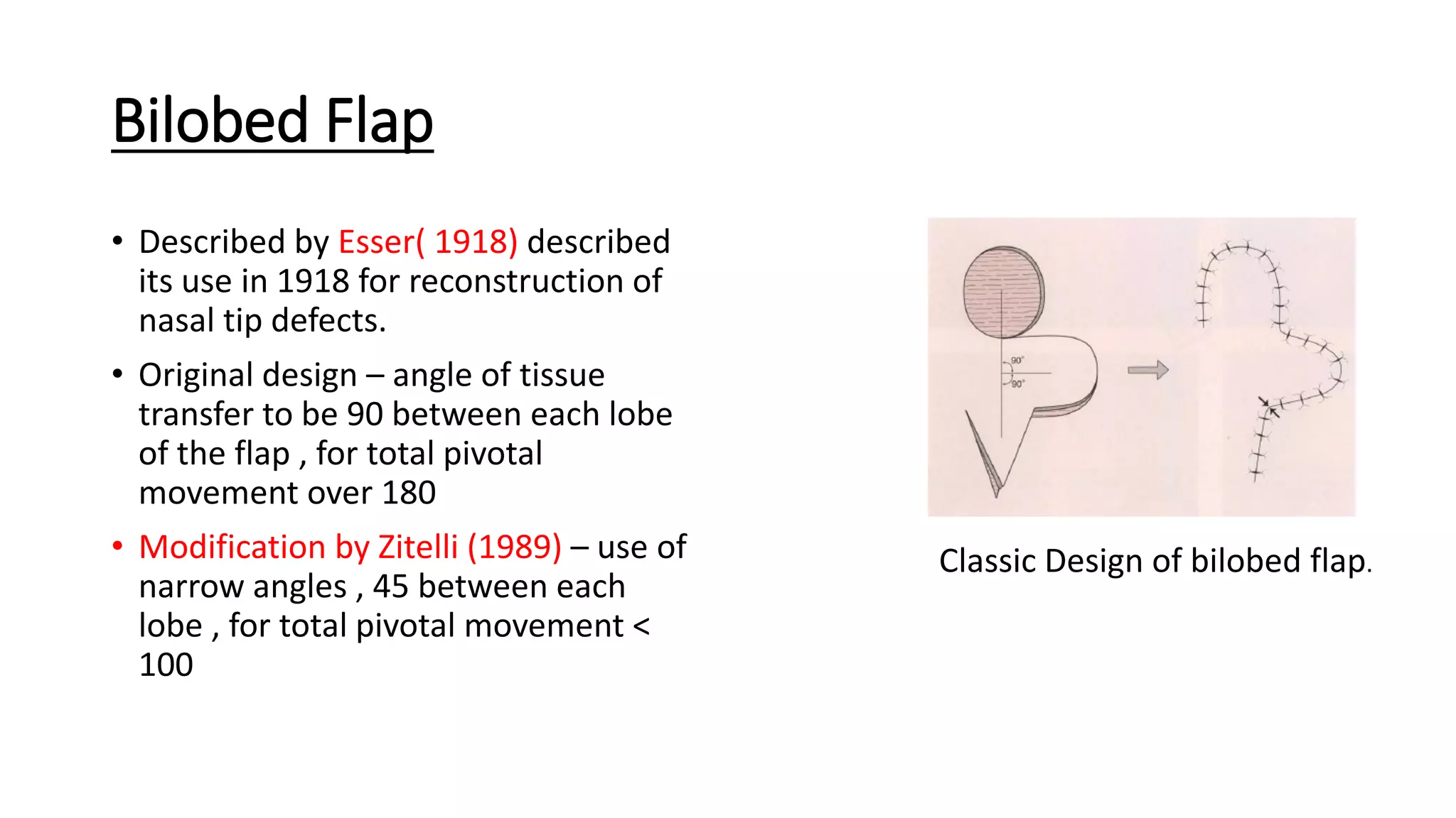 Basic Principles of Flap | PDF
