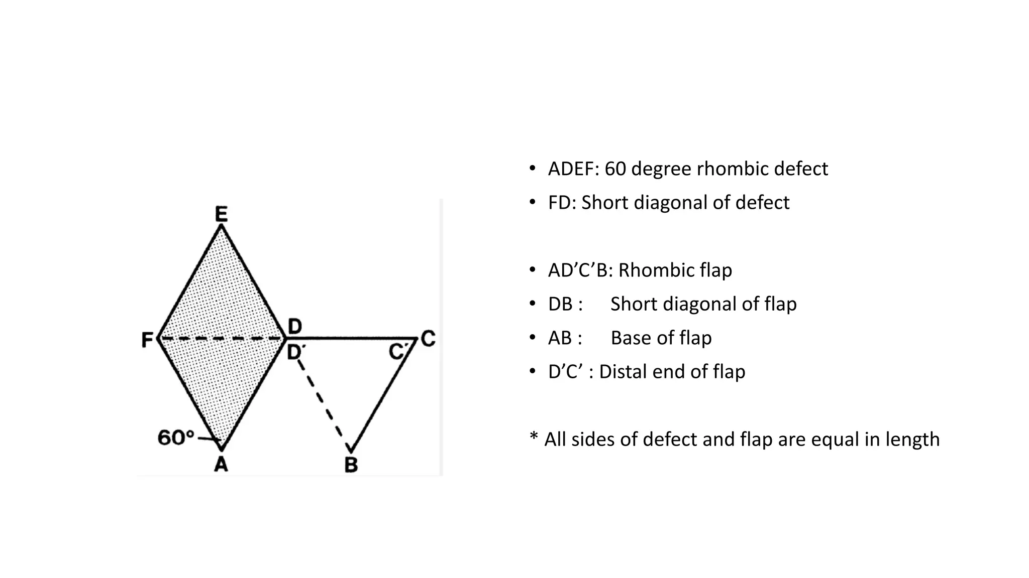 Basic Principles of Flap | PDF