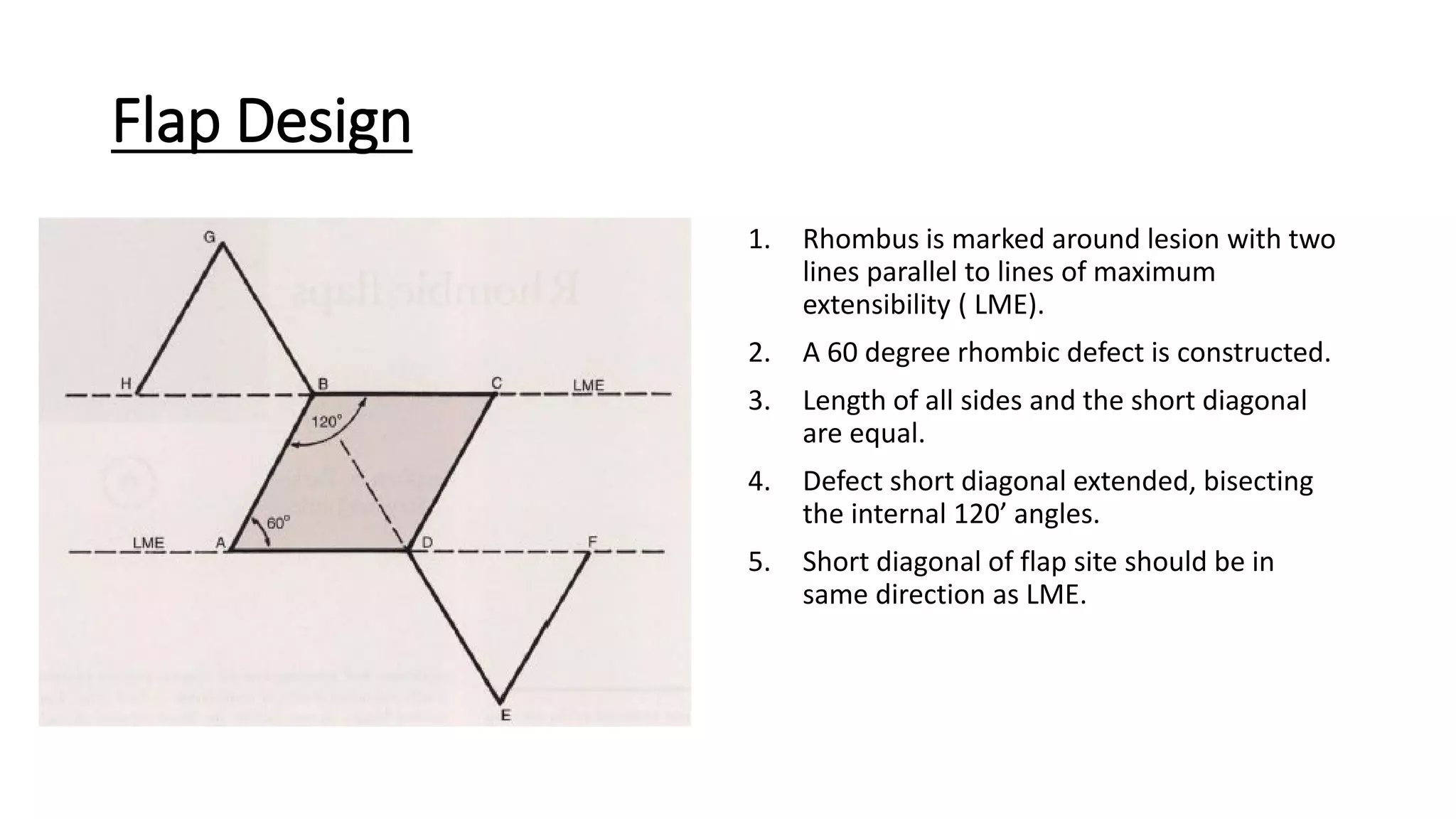 Basic Principles of Flap | PDF