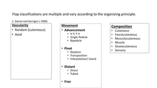 Basic Principles of Flap | PDF