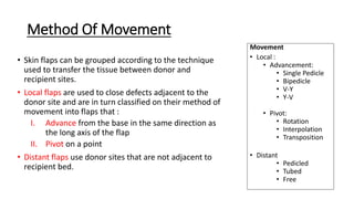 Basic Principles of Flap | PDF | Cosmetic Medical Services | Medical Health