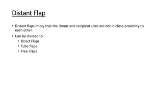 Basic Principles of Flap | PDF | Cosmetic Medical Services | Medical Health