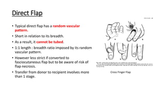 Basic Principles of Flap | PDF
