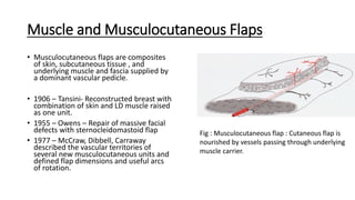 Basic Principles of Flap | PDF
