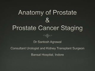 Prostate - Clinical Anatomy as applied to Prostate Cancer | PPTX
